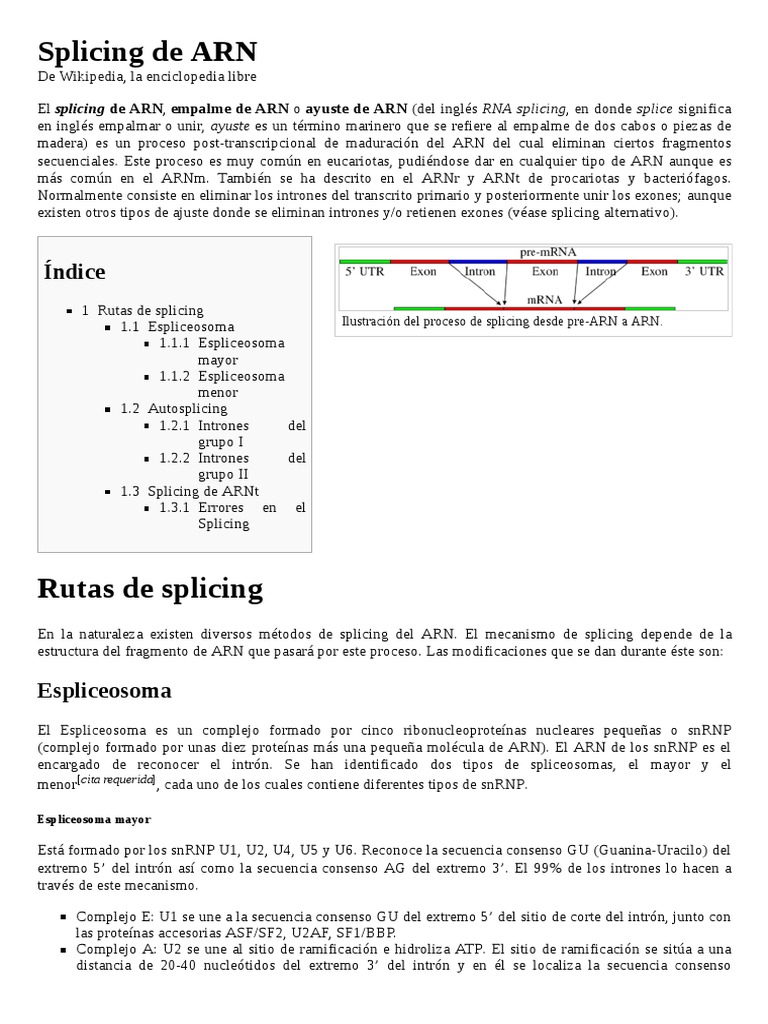 Splicing de ARN | PDF | Genética | Biología Molecular