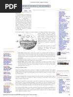 Triptico Sebas - La Capacocha | PDF | Imperio Inca | Pueblos Indígenas de las Américas