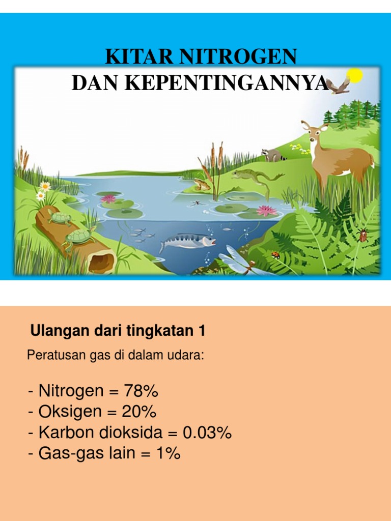 Kitar Nitrogen | PDF