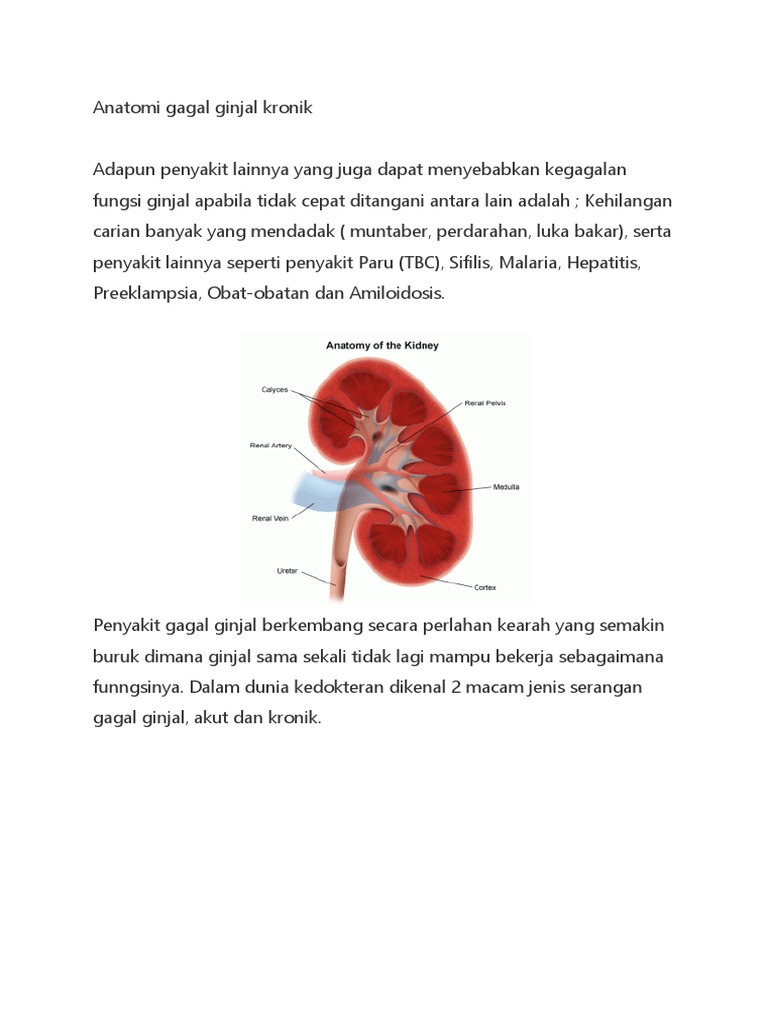 Anatomi Gagal Ginjal Kronik | PDF | Sains & Matematika