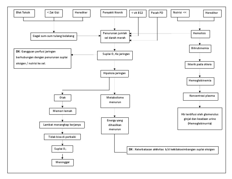 Patoflow Anemia | PDF