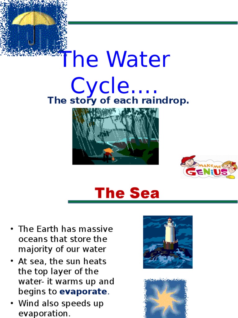 The Water Cycle .: The Story of Each Raindrop | PDF