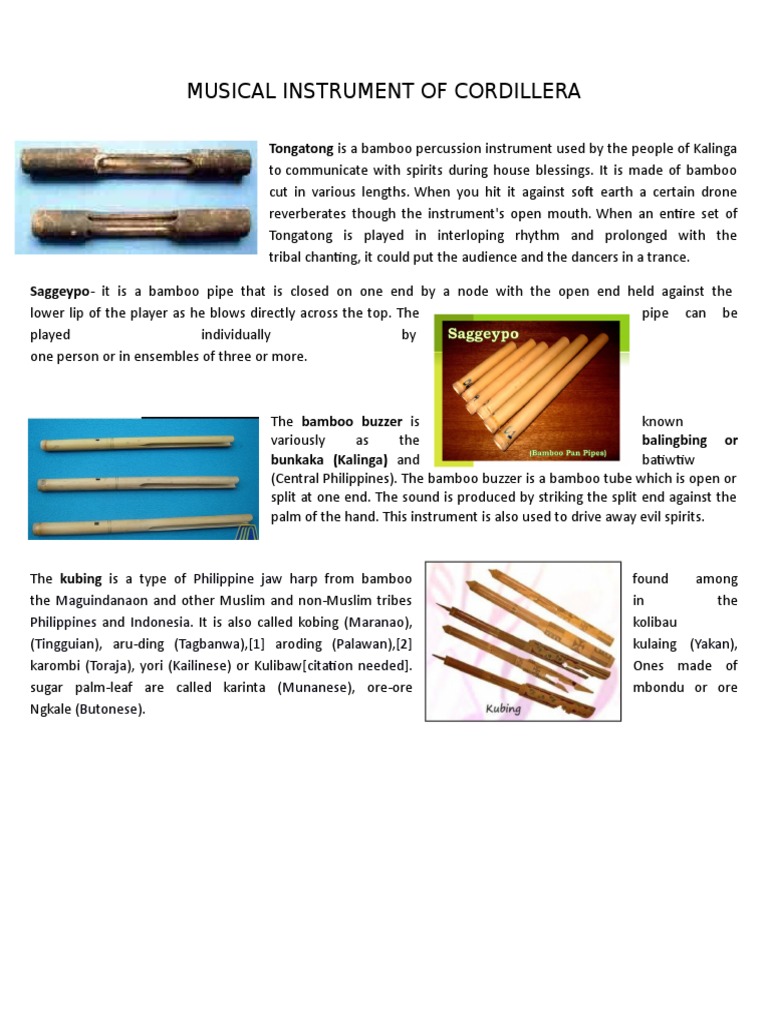 Tonga Tong 66 | PDF | Musical Instruments | Sound
