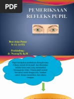 Ukuran Normal Pupil Mata | PDF