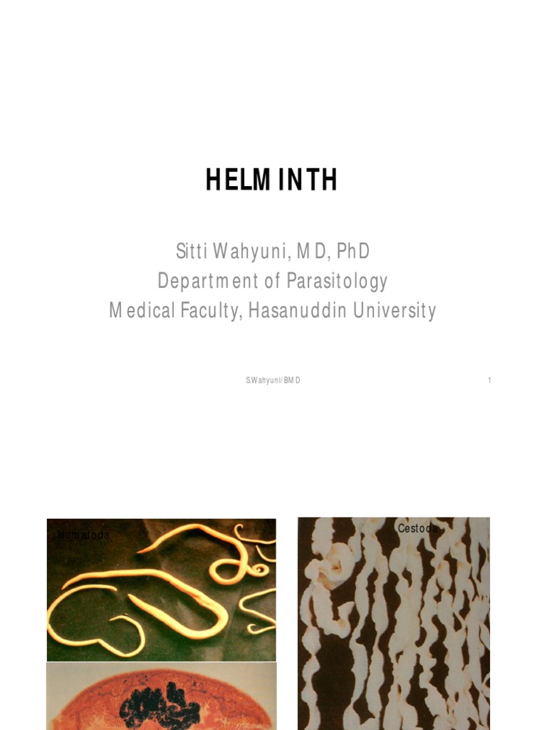 4 Helminth - PPT PDF | PDF | Immune System | Nematode