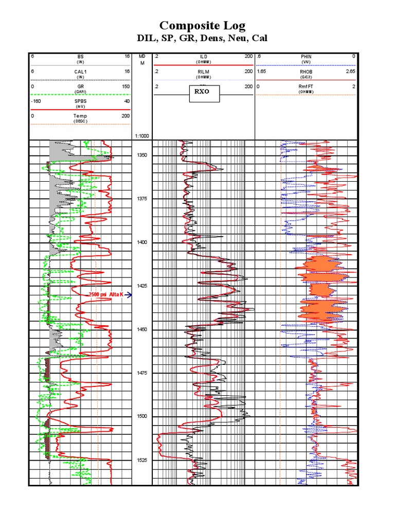 Composite Log: DIL, SP, GR, Dens, Neu, Cal | PDF