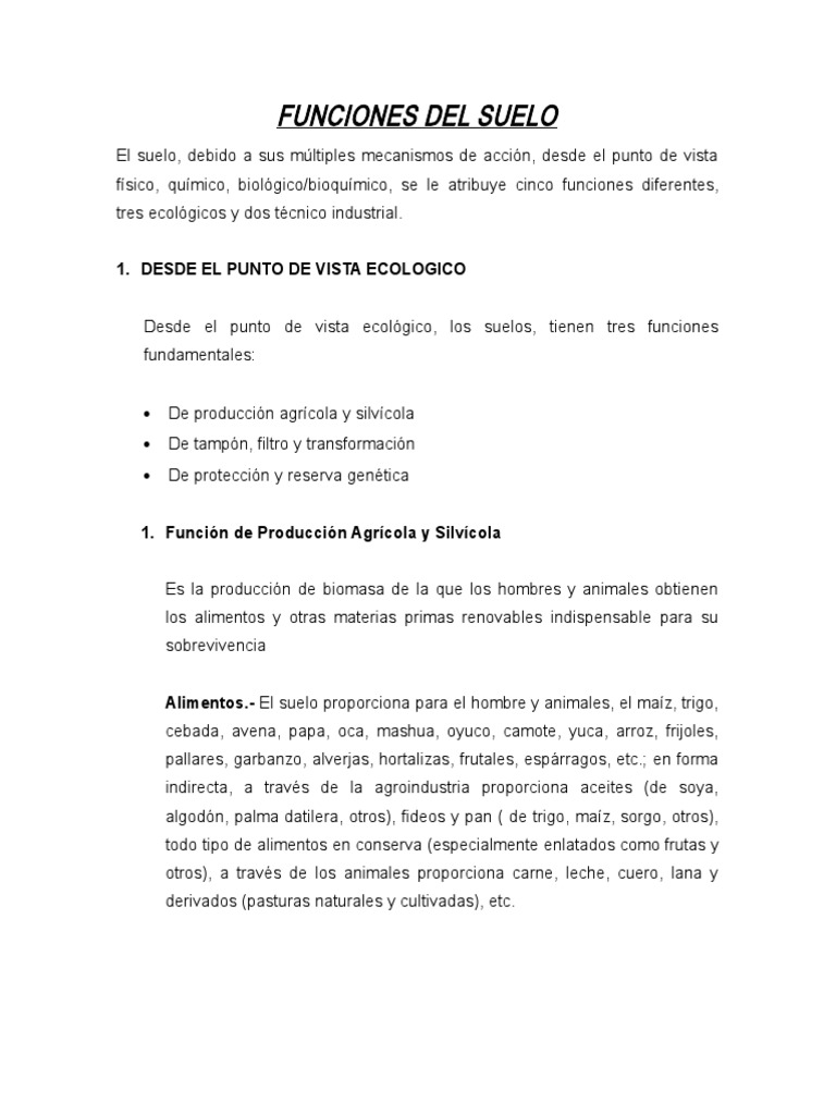 Funciones Del Suelo | PDF | Suelo | Ecología