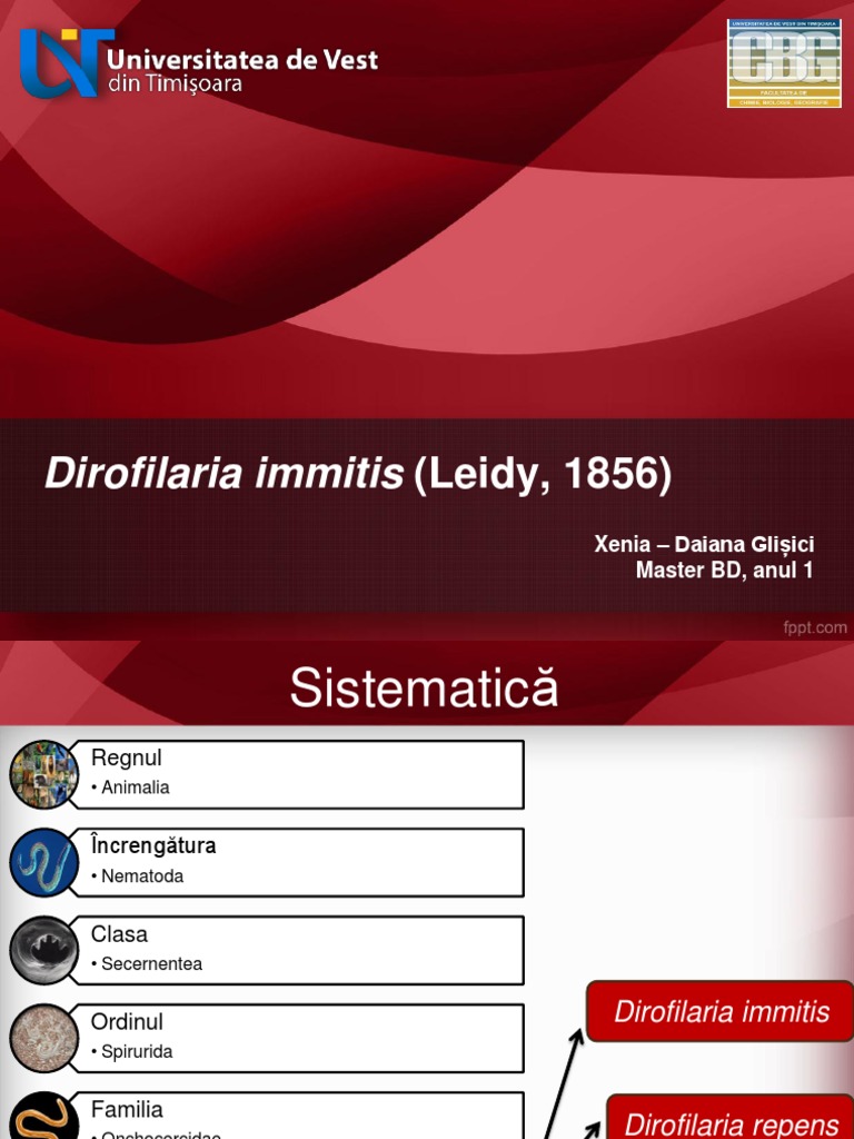 Dirofilaria Immitis (Leidy, 1856) : Xenia - Daiana Glișici Master BD, Anul 1 | PDF