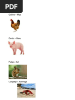 Animales Dosmesticos en Xinca | PDF | Cocina, comidas y vino