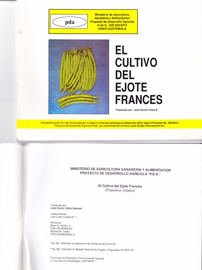 Cultivo del Ejote Francés en Guatemala | PDF | Siembra | Suelo