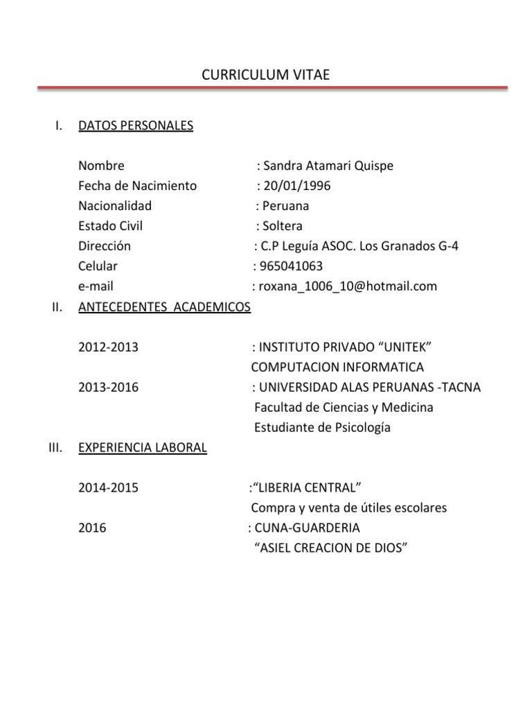 Curriculum Vita Sandra | PDF