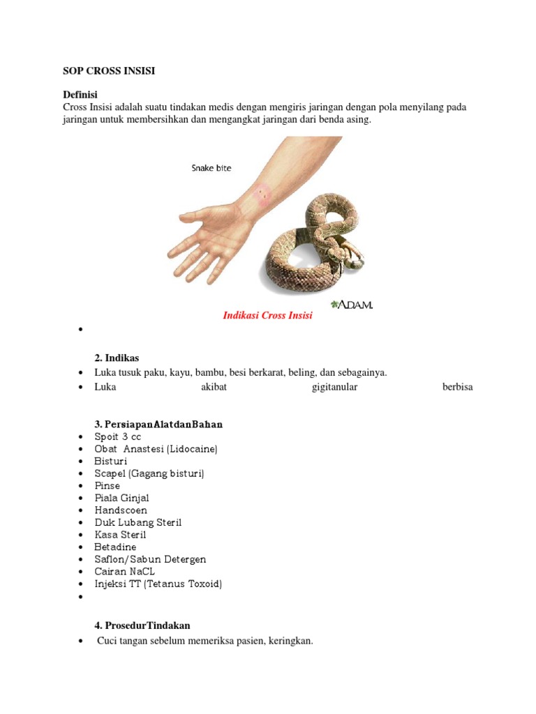 Sop Cross Insisi | PDF