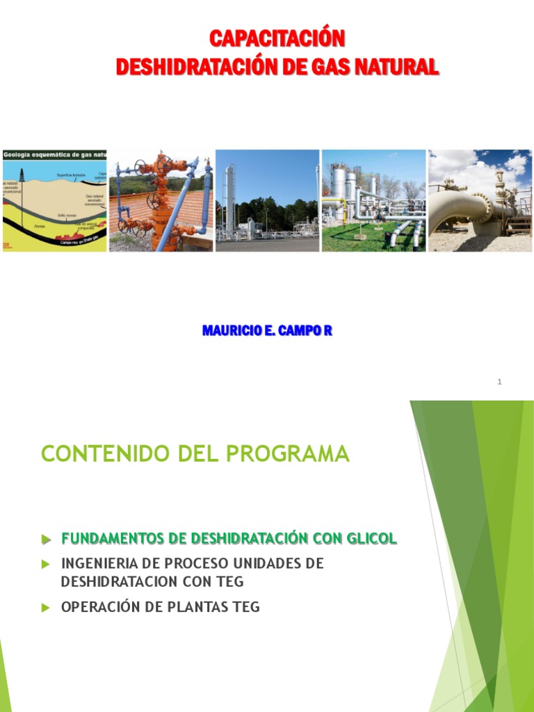 Fundamentos Deshidratacion | PDF | Gases | Adsorción