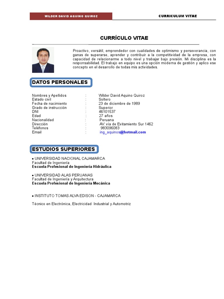 CURRICULUM - Wilder 2017 | PDF | Ingeniería | Plan de estudios