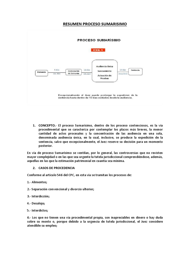 Resumen Proceso Sumarisimo | PDF | Demanda judicial | Ley procesal