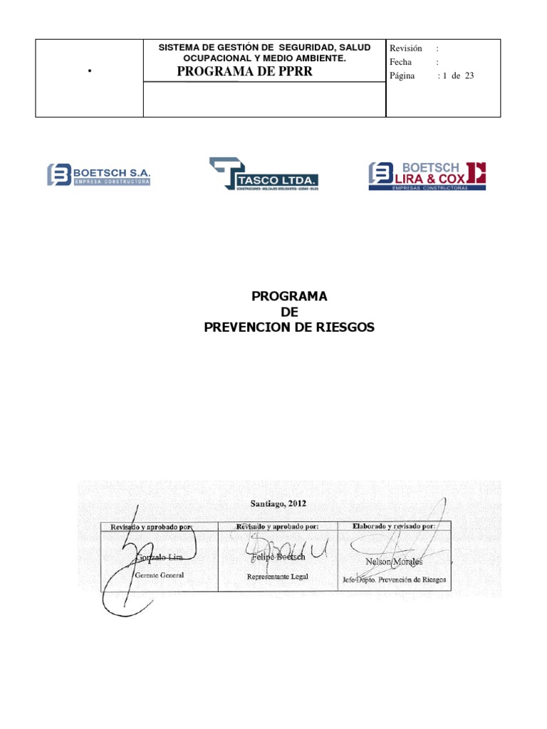 Programa de Prevencion | PDF