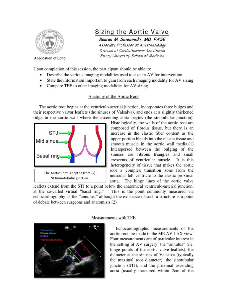 Sizing An Aortic Valve For Intervention What Is Important How Does TEE ...