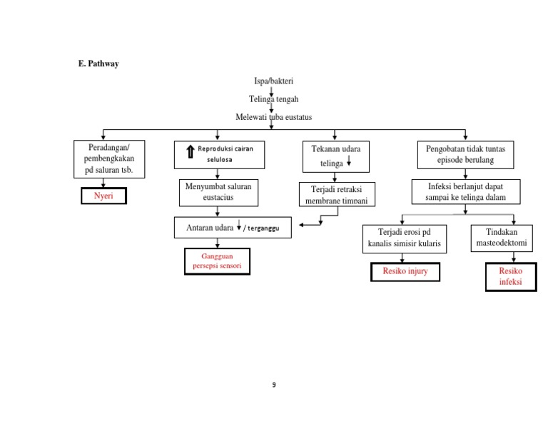 E. Pathway Telinga Infeksi Bakteri | PDF