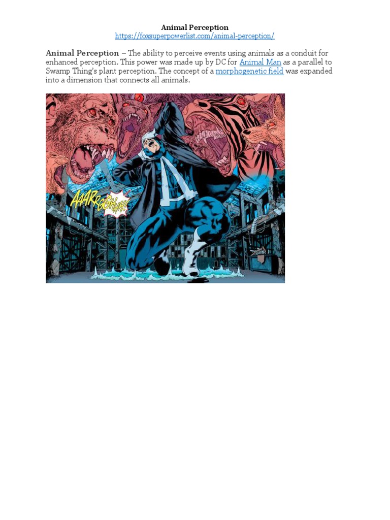 Animal Perception | PDF