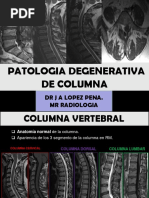 Clasificación de Pfirrmann Modificada | PDF | La columna vertebral ...