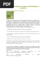 Taller de Bioinsecticidas | PDF | Control biológico de plagas | Plaga ...