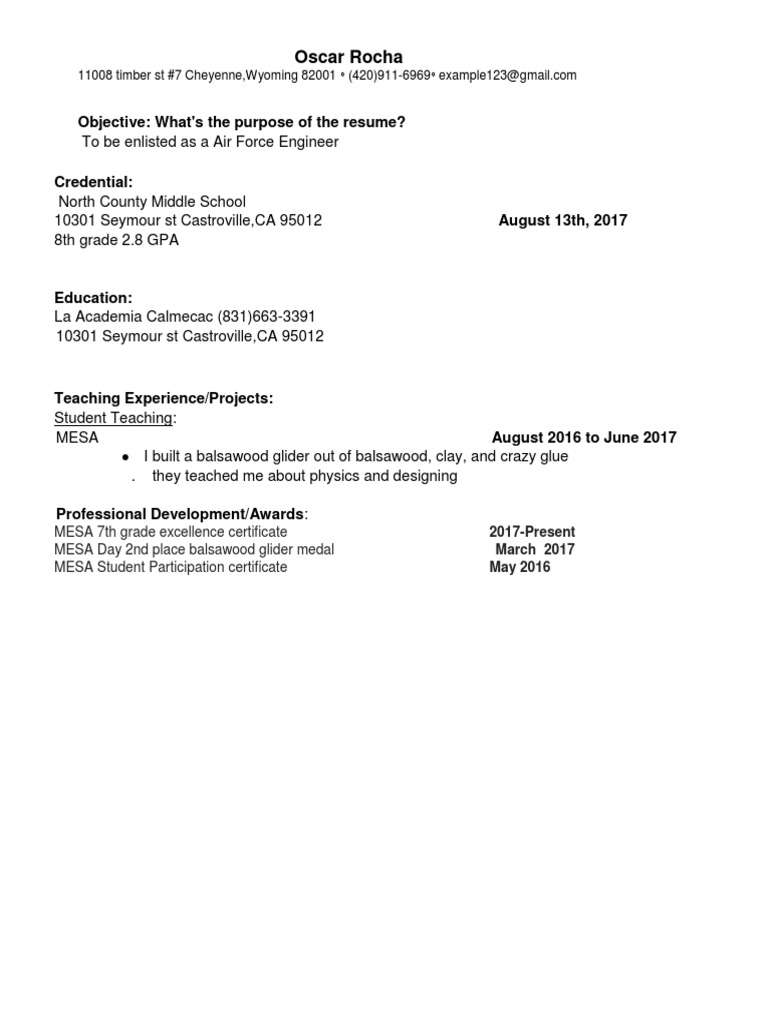 Resume - Oscar Rocha | PDF