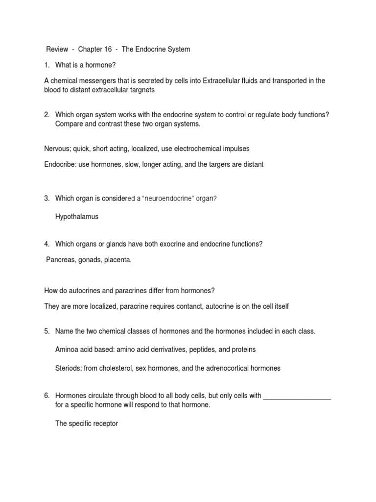 Review Chapter 16 Endocrine | PDF | Endocrine System | Hormone
