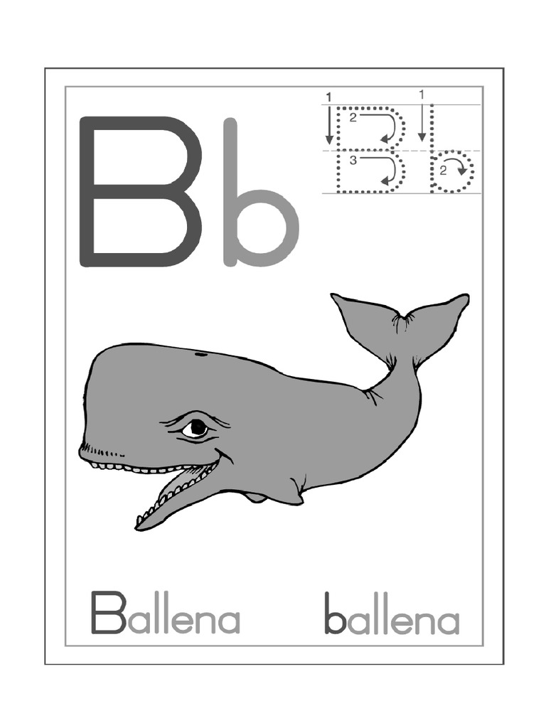 Animales Con B | PDF