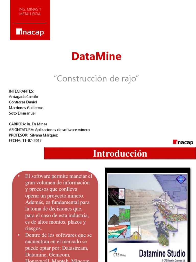 Software Datamine Informe | PDF | Minería | Cobre