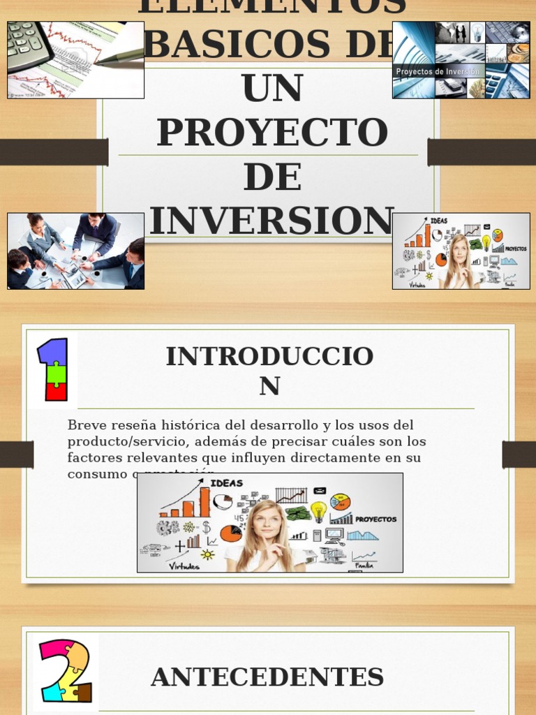 Elementos Basicos de Un Proyecto de Inversion Grupo 4 | PDF | Producto (Negocio) | Mercado ...