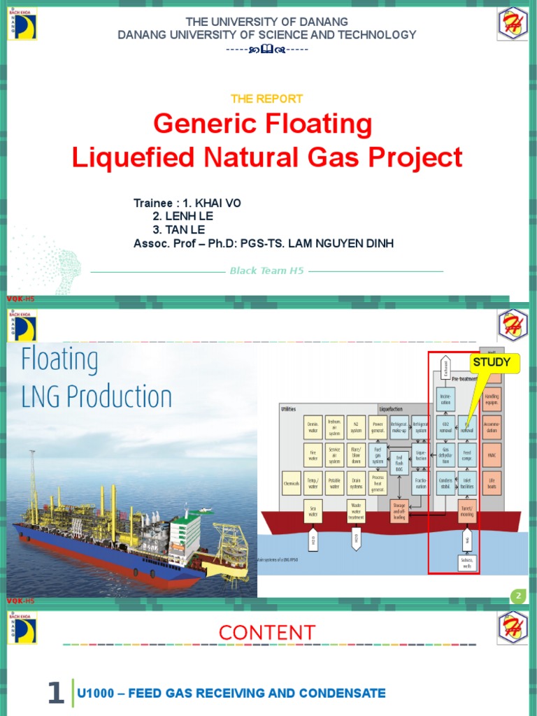 Generic LNG Project Report Overview | PDF | Liquefied Natural Gas ...