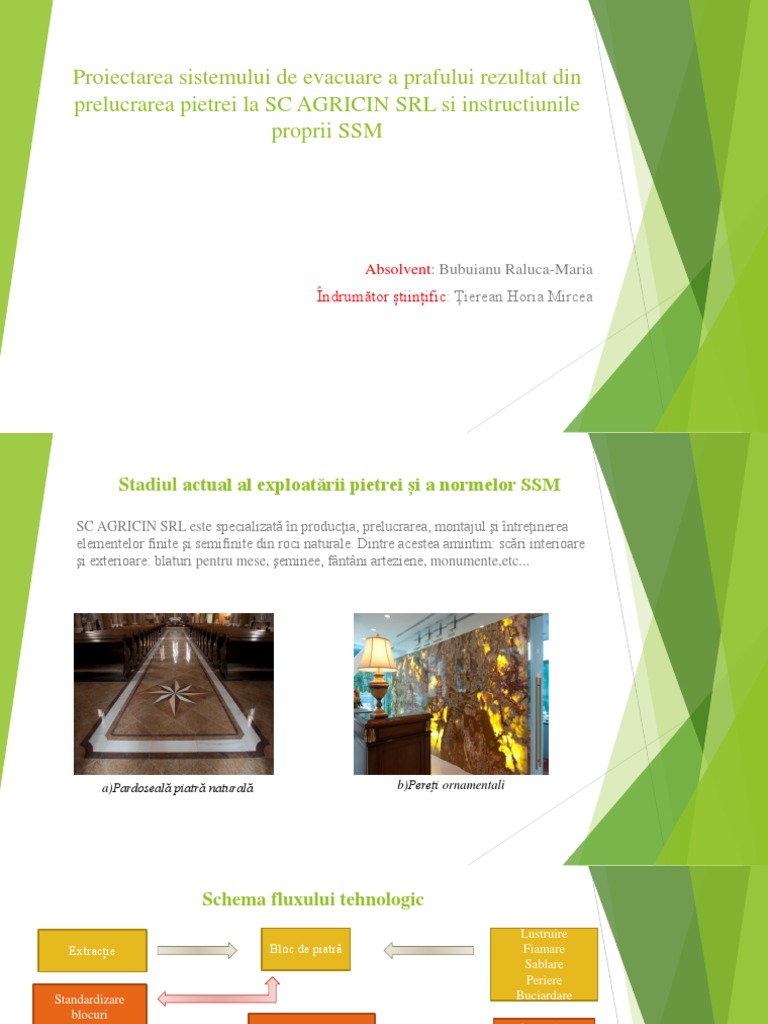 Prezentare Powerpoint Licenta | PDF