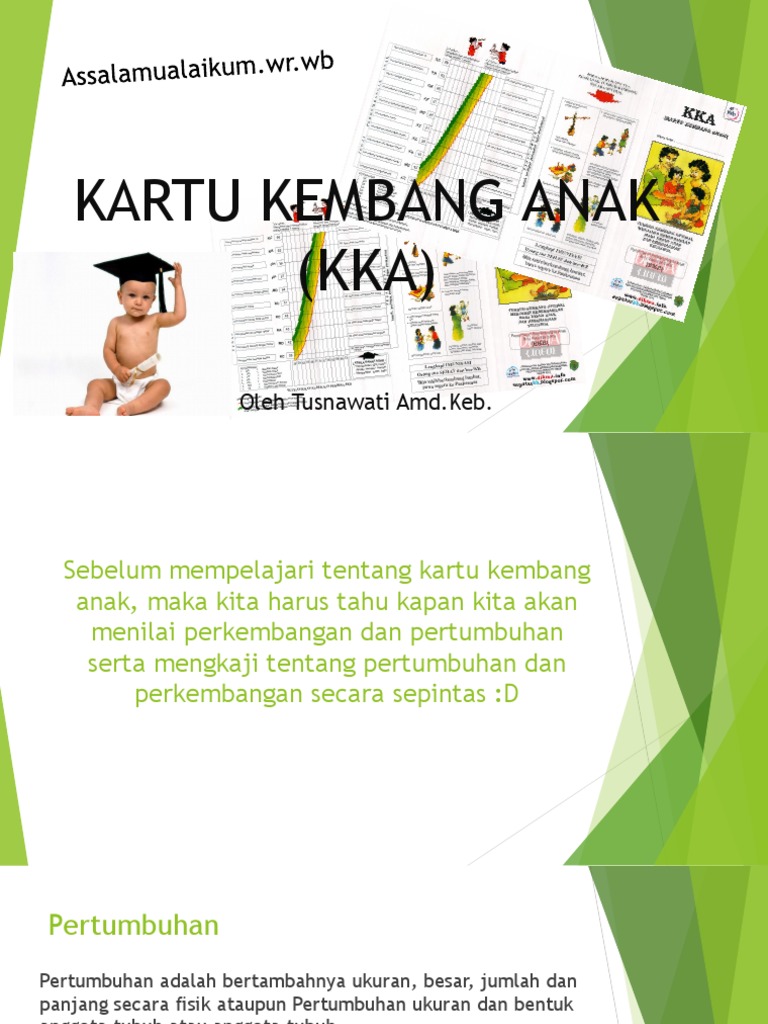 Pengertian dan Fungsi KKA Anak | PDF