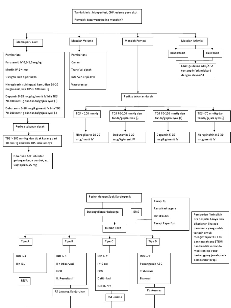 Tatalaksana Syok Kardiogenik | PDF
