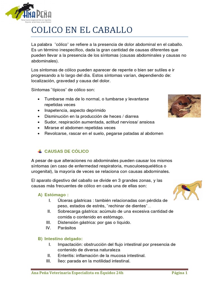 Cólico en Caballos: Causas y Tratamientos | PDF | Diarrea | Abdomen
