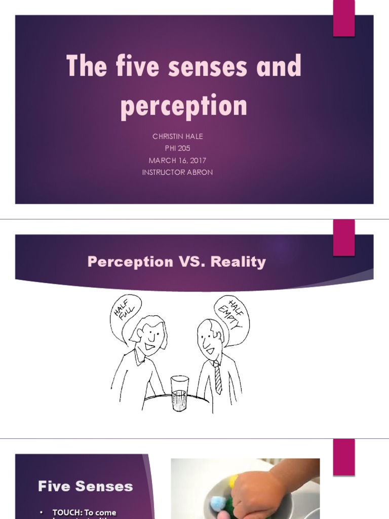 Understanding the Five Senses and Perception | PDF | Social Science