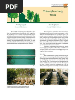 Tree Plantation: Process and Guidelines | PDF