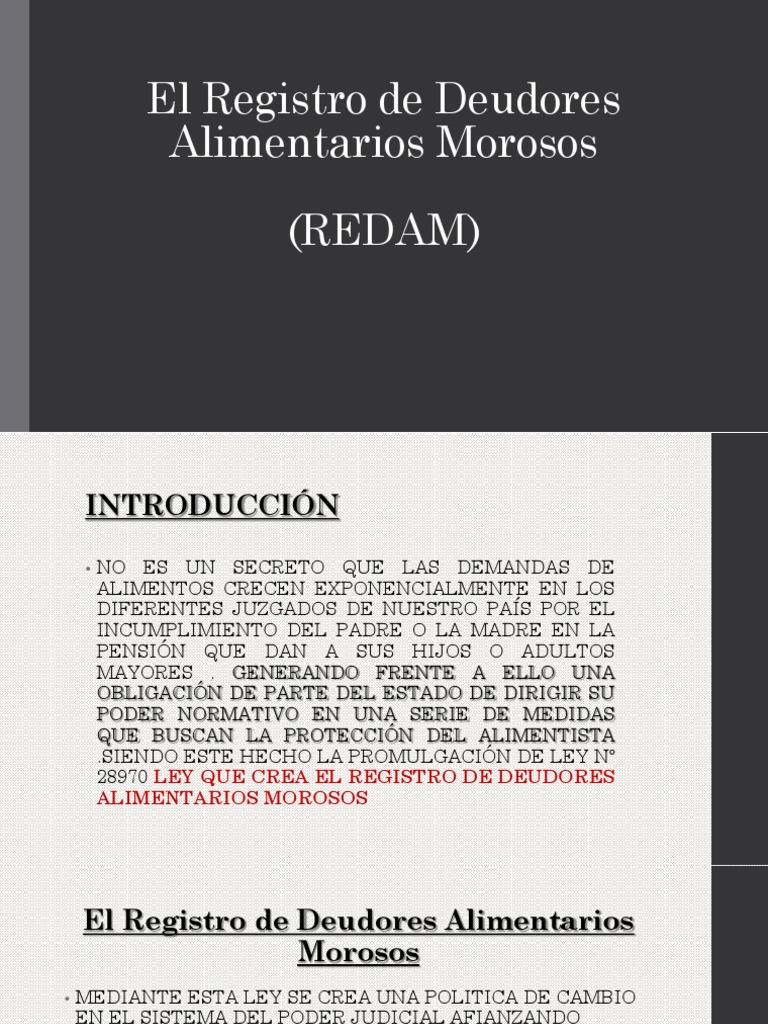 El Registro de Deudores Alimentarios Morosos | PDF