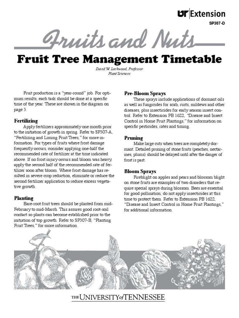 Fruit Tree Management Timetable | PDF | Trees | Apple