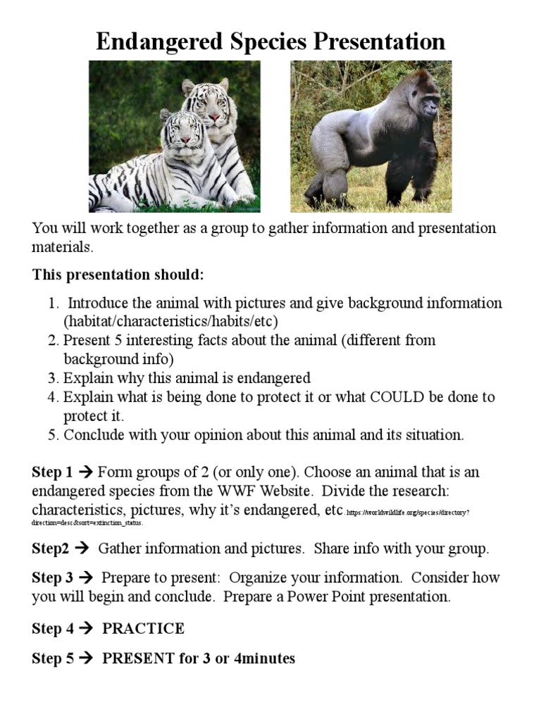 Endangered Species Presentation | PDF | Microsoft Power Point ...