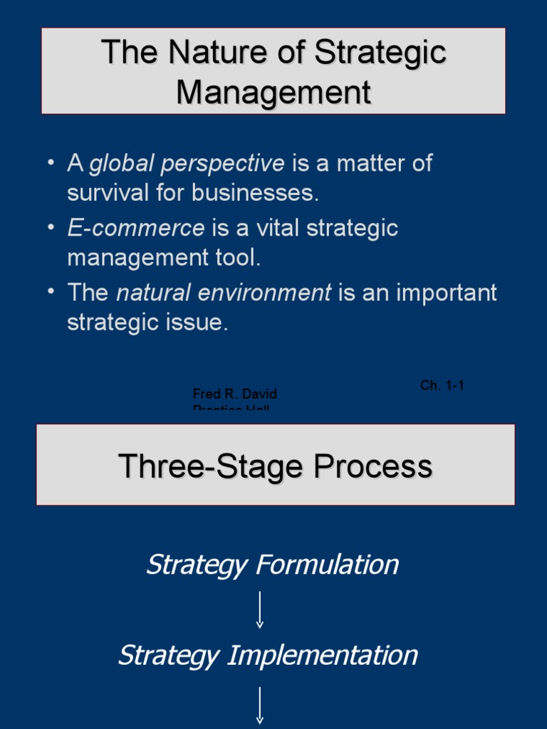 The Nature of Strategic Management | PDF | Strategic Management | Emergence