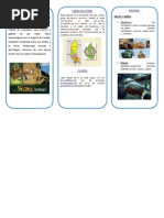 Tríptico Región Costa Ucayali | PDF | Viajes y turismo