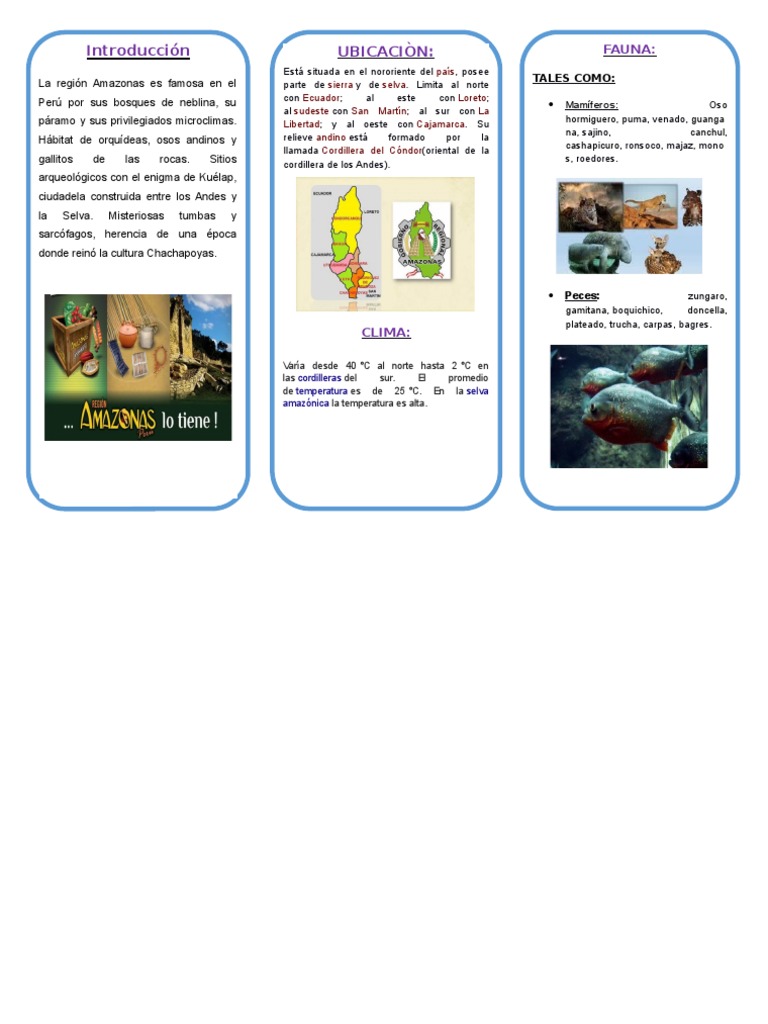 Triptico Del Amazonas | PDF | Conservación | Alimentos