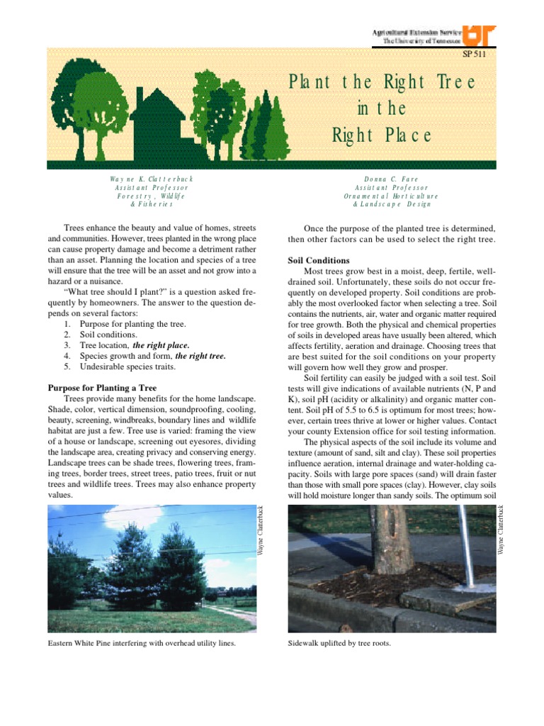 Plant The Right Tree in The Right Place | PDF