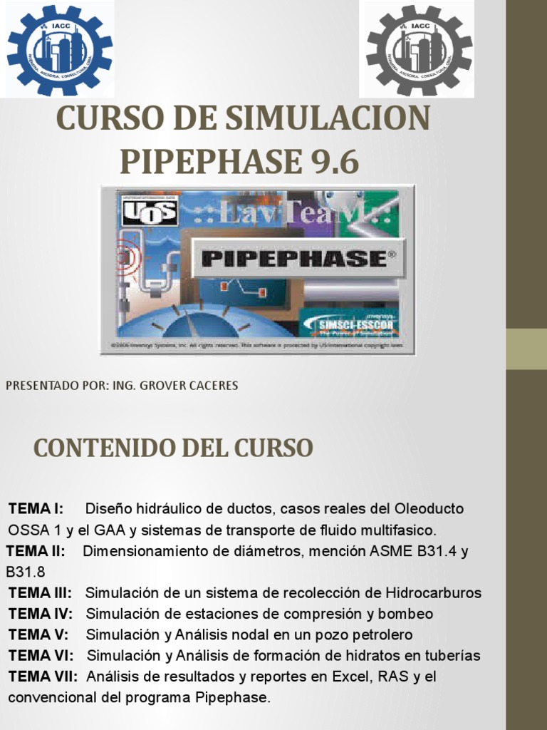 PIPEPHASE UMSSult | PDF | Gas natural | Presión