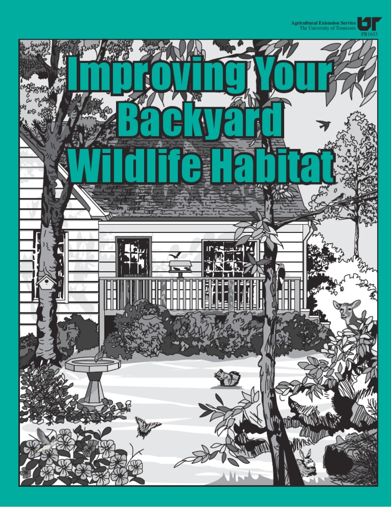 Improving Your Backyard Wildlife Habitat | PDF | Birds | Nest