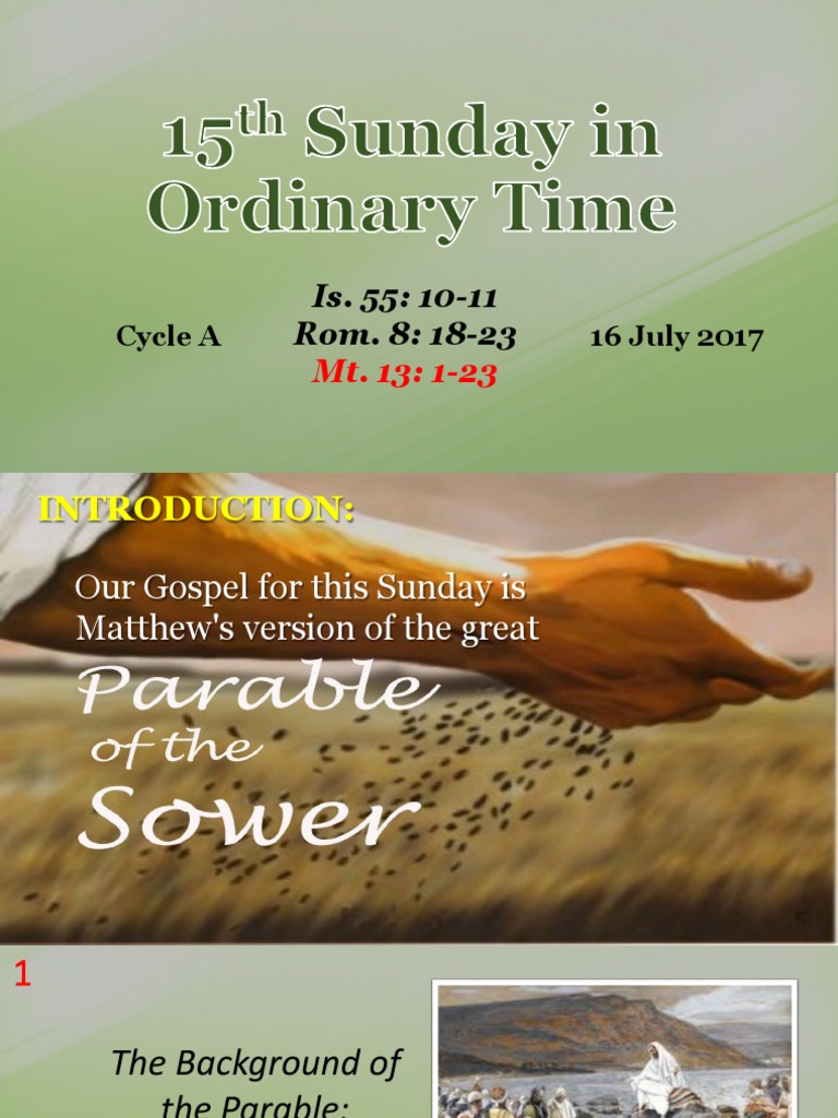 Bishops Homily - 15th Sunday in Ordinary Time | PDF | Parables Of Jesus ...