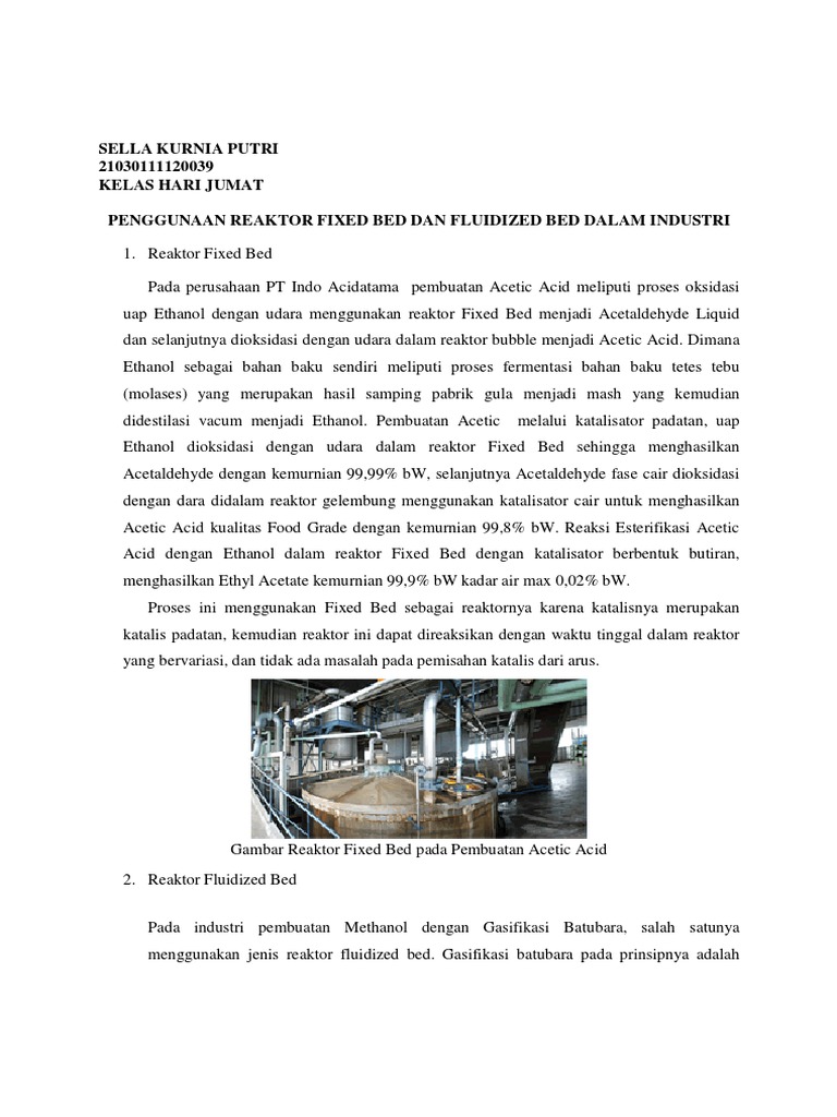 Penggunaan Reaktor Fixed Bed Dan Fluidiz PDF | PDF