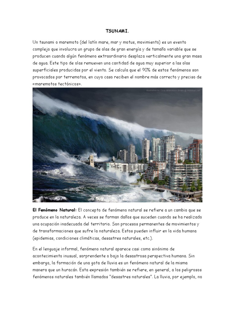 Informe sobre el Tsunami | Tsunami | Océanos