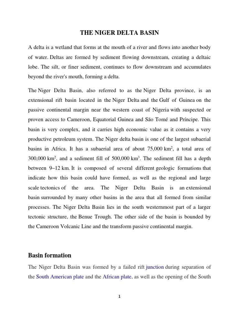 The Niger Delta Basin | PDF | Sedimentary Basin | Earth Sciences